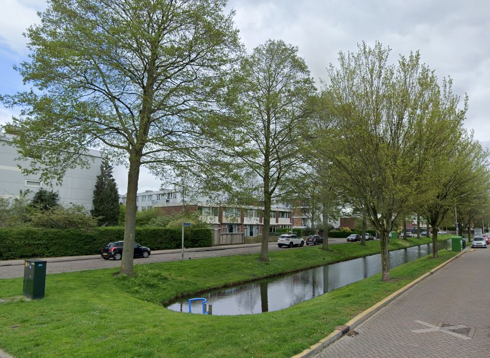 Botulisme in water bij Mecklenburgstraat - Gemeente Ridderkerk